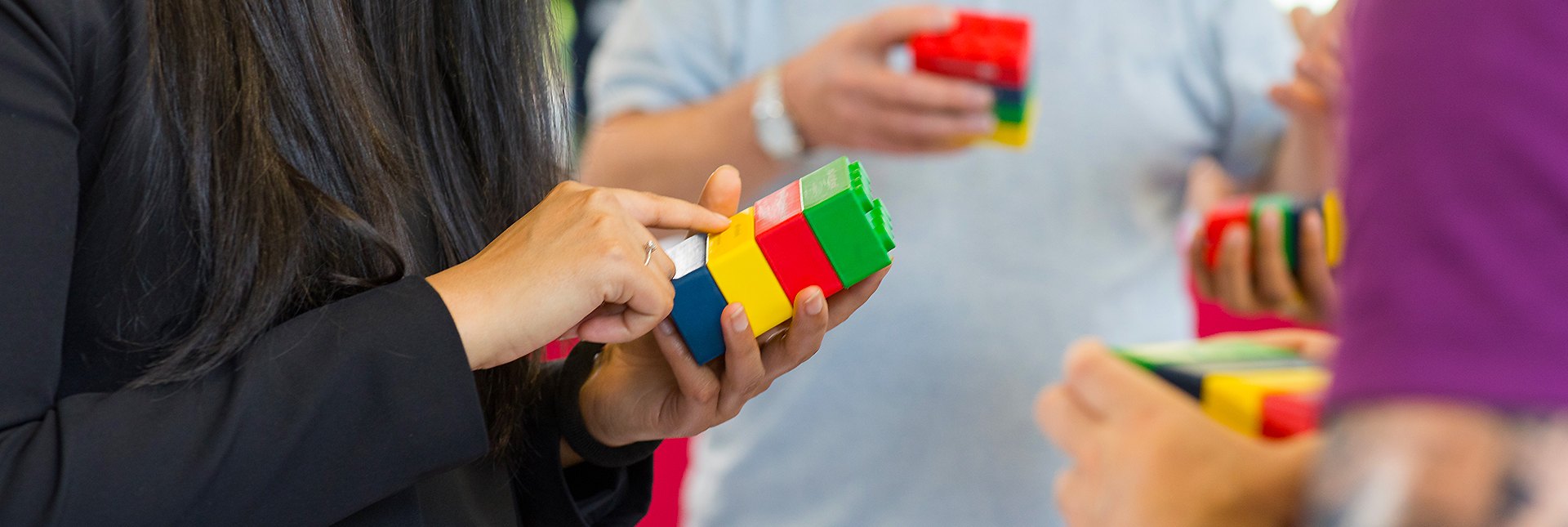 Insights Discovery® - Our official flagship product and foundation.